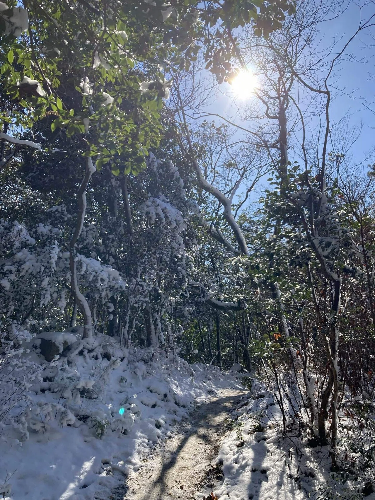 Snow & Sunshine｜kemi