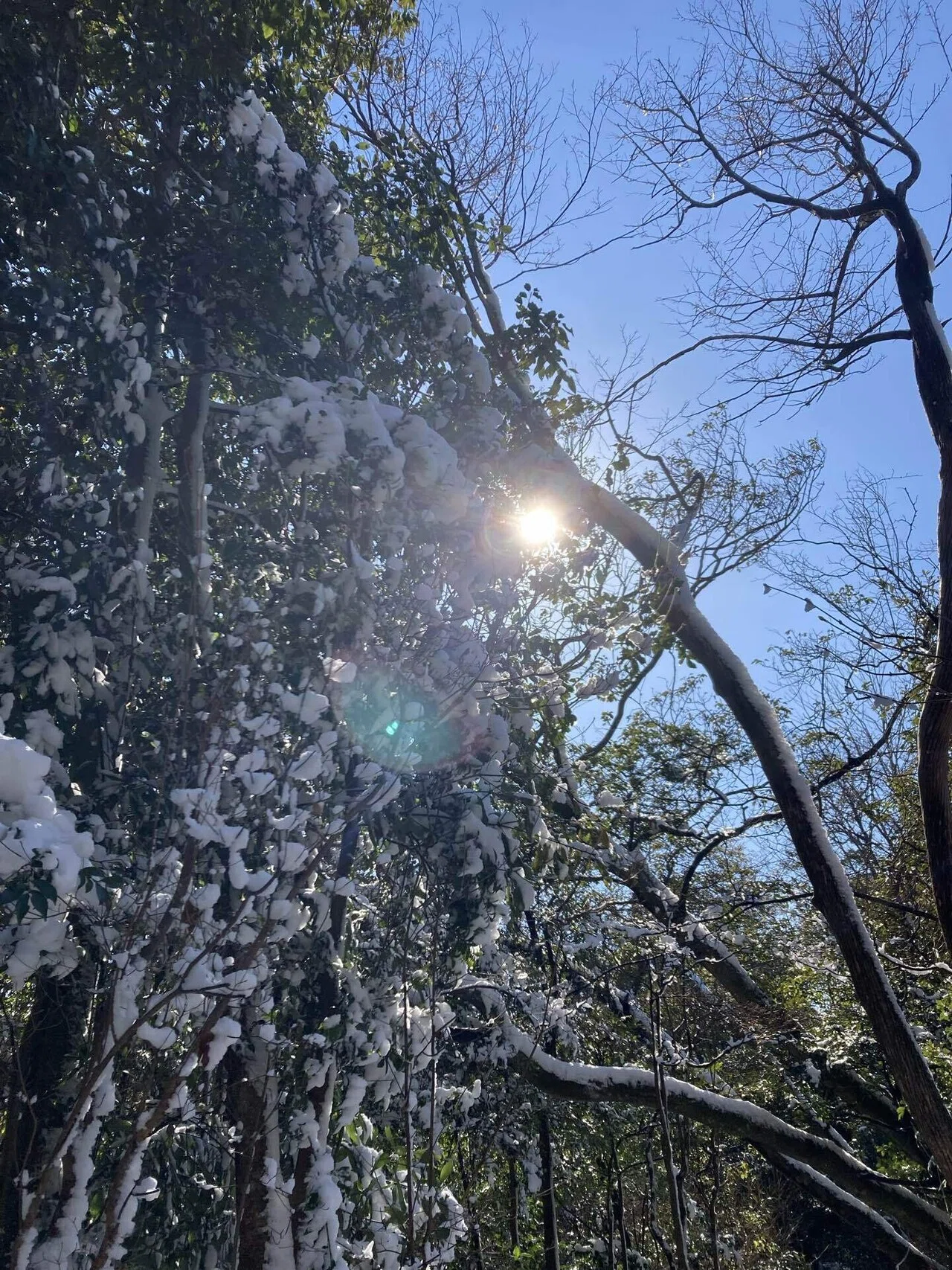 Snow & Sunshine｜kemi
