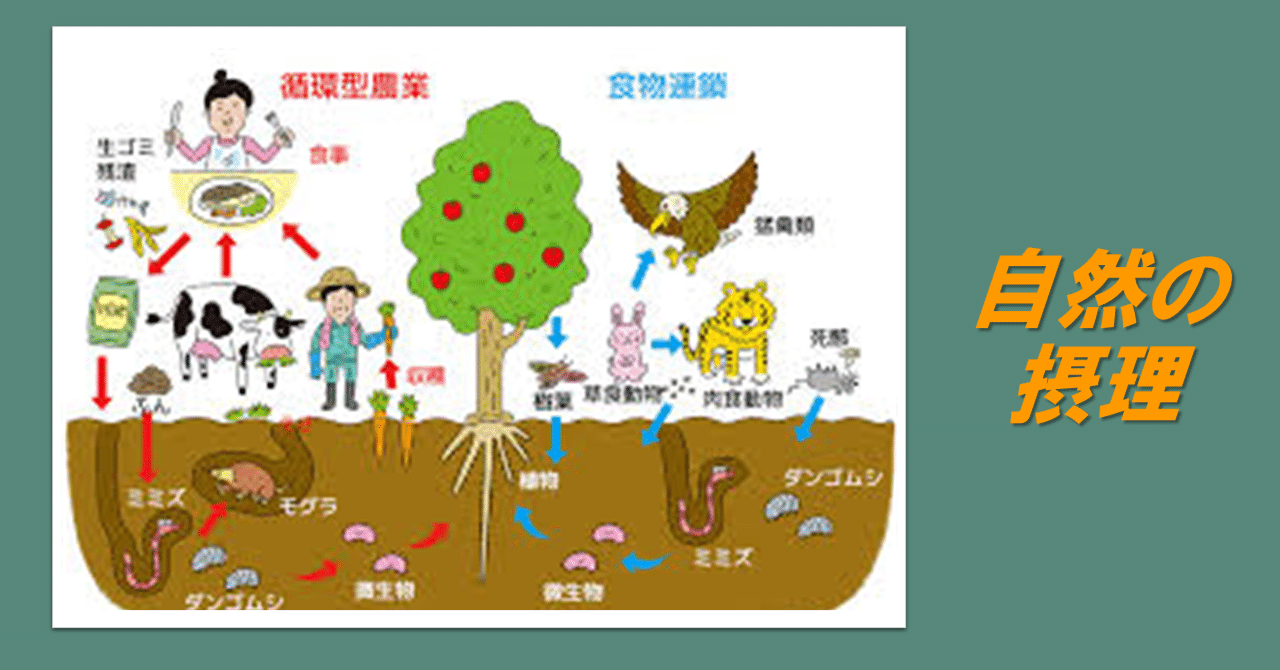 『稲盛和夫一日一言』2/4（土）｜R＆P企画 emu｜note