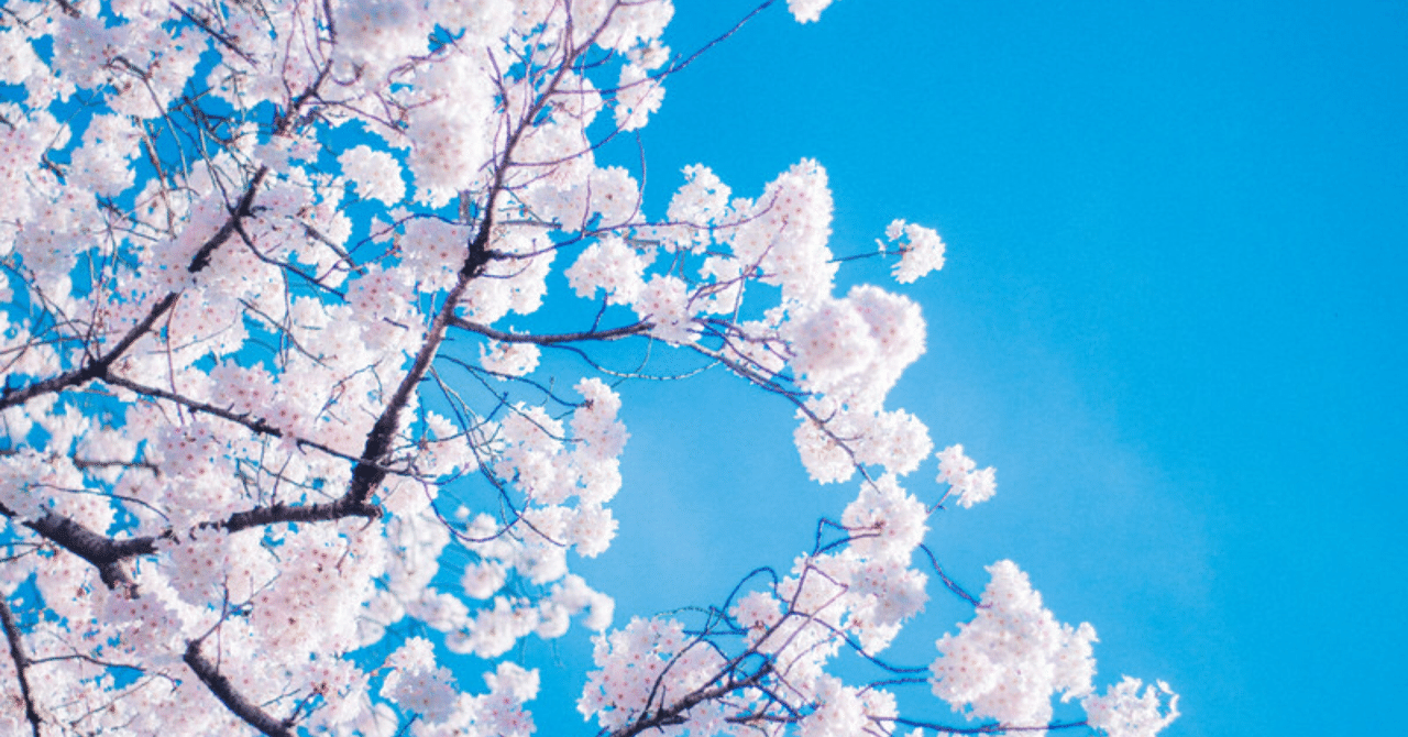 コミュニケーションのテスト＃2｜Shun