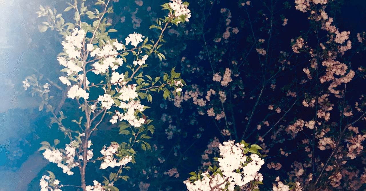 2月1日(水)/日々感じること、今改めて思うこと。｜723nk｜note