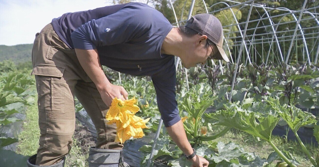 TBS ドキュメンタリー映画祭 2023 作品紹介⑨『サステナ・ファーム トキと1％』監督︓川上敬⼆郎 ｜TBS DOCS