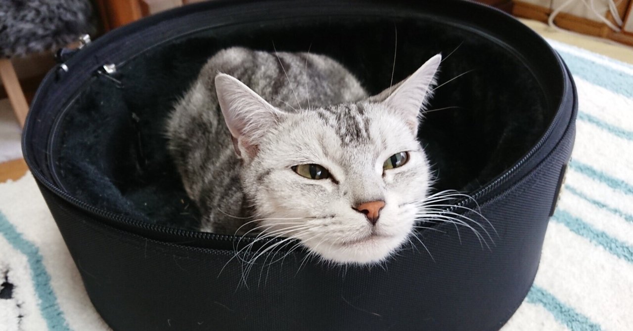 奇跡講座WB実践214 復習194｜(Linp&Ruru)本当の自分を知り、本当の自分として生きる