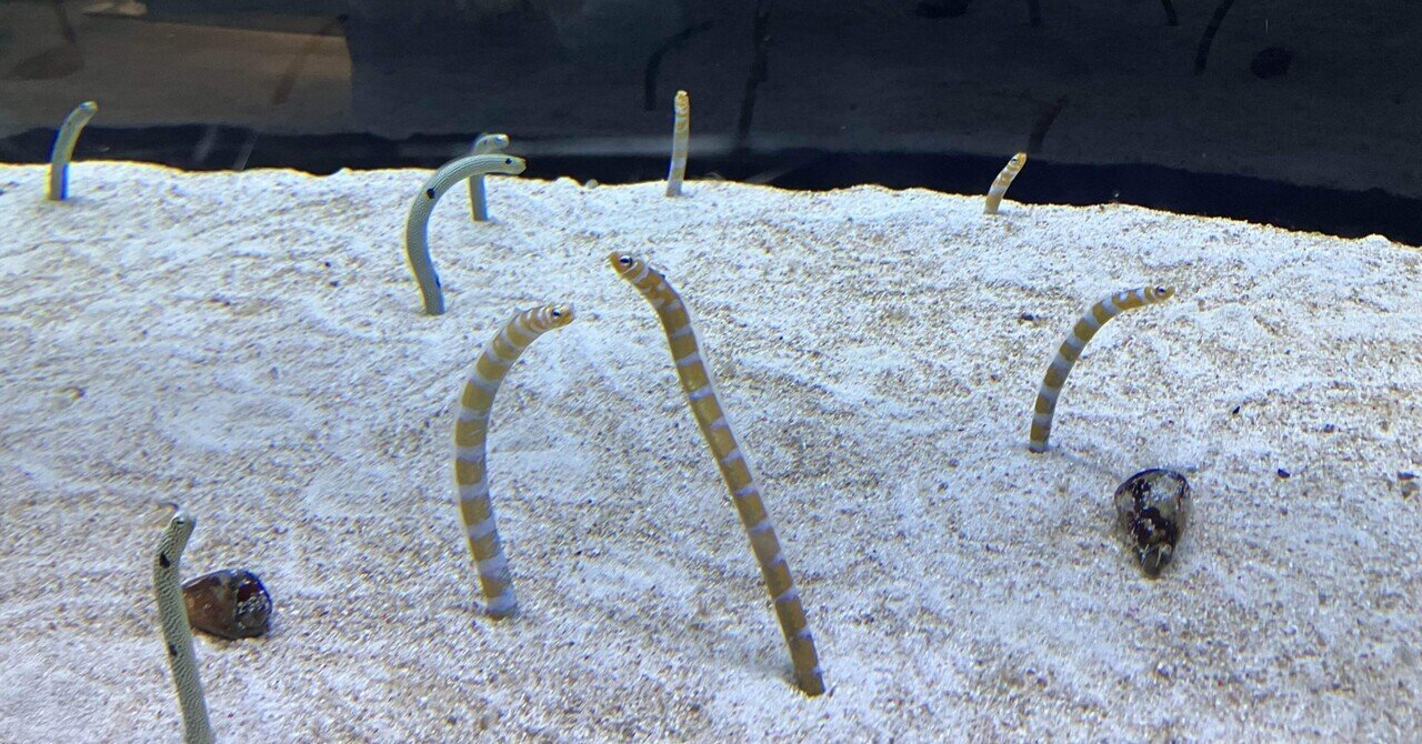 敷居は低く｜kob_730