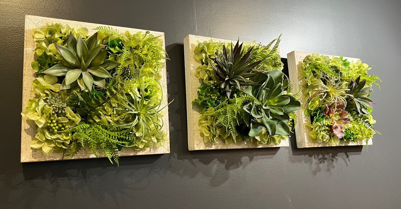 カラダを計測｜ゆうゆう yu-yu｜note