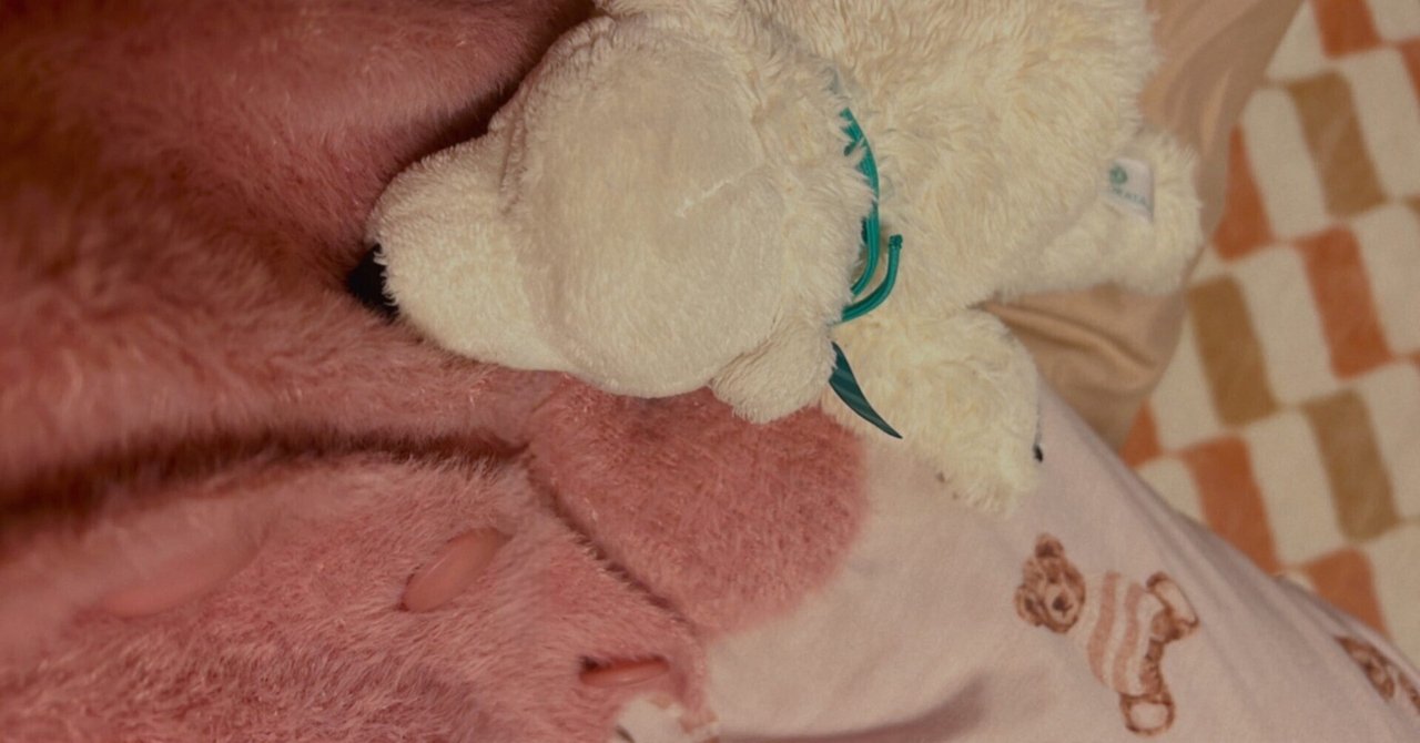 2月2日「P.S 言ってなかったけど、実は口がわるい糸巻羽栞です。」｜Itomaki Uka｜note