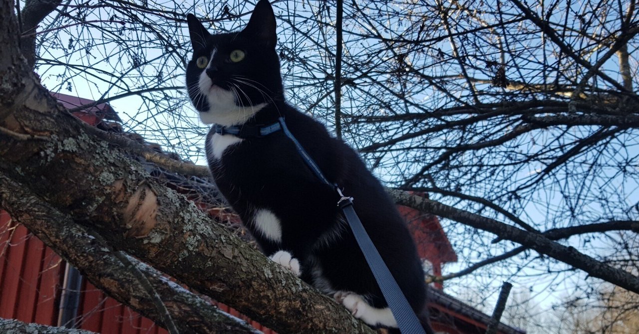 2月の太陽｜Ren｜note