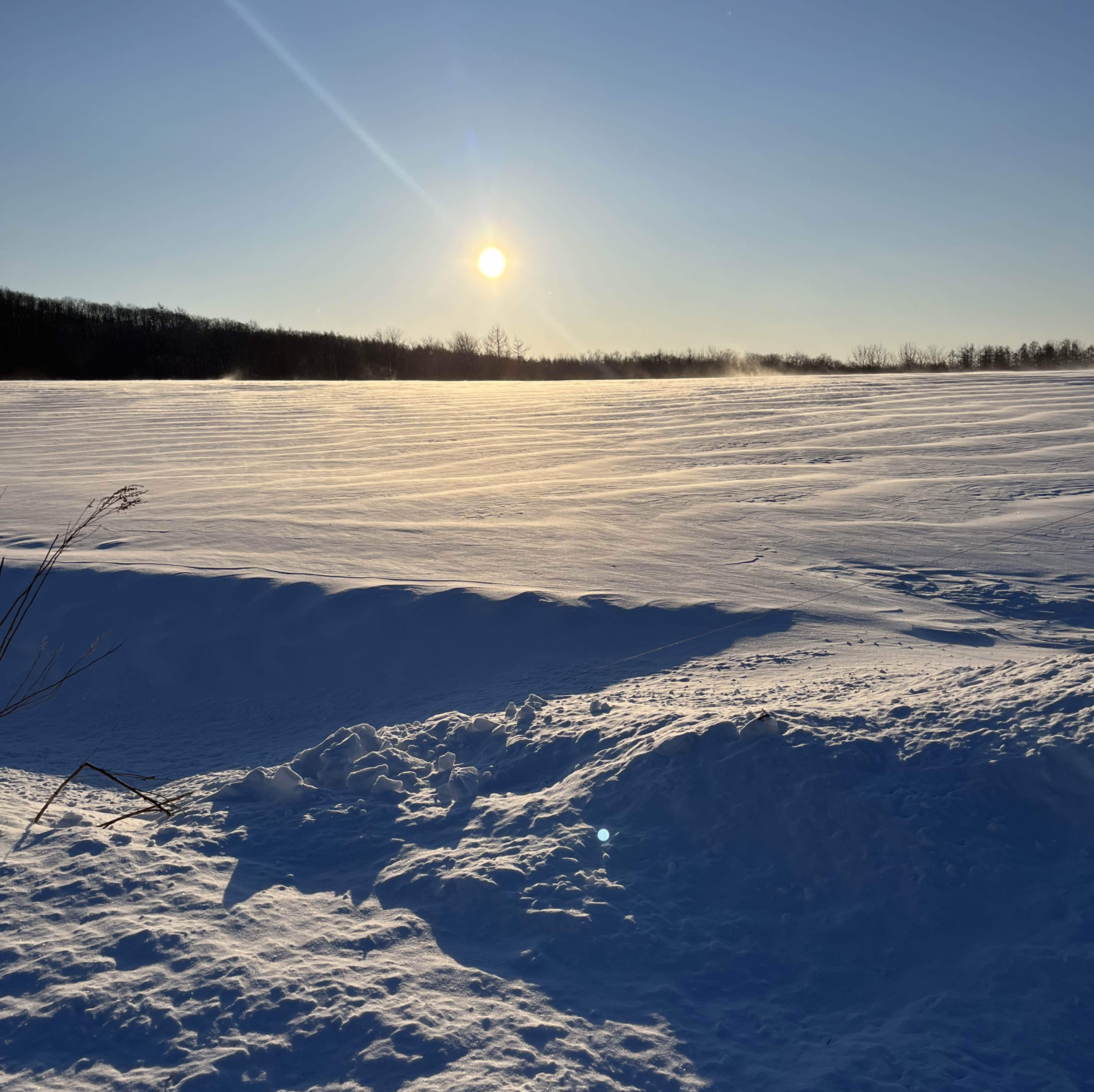 2023/02/03の朝 北海道豊頃町より｜シロふくろうMaki｜note