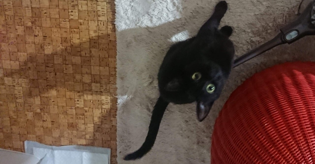 奇跡講座WB実践216 復習196｜(Linp&Ruru)本当の自分を知り、本当の自分として生きる