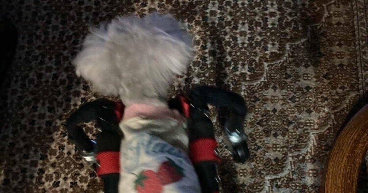 ロリィタちゃん｜tomoka｜note