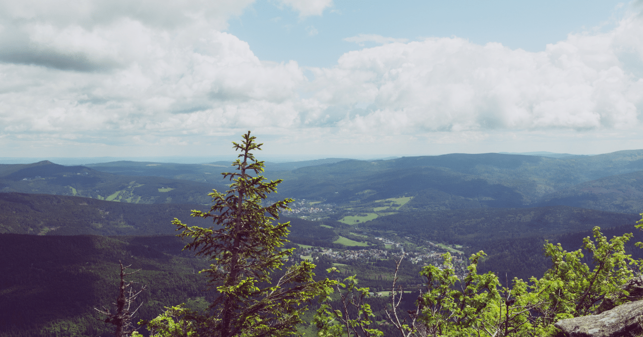 あともうちょっと、との葛藤｜noriko ooi｜note