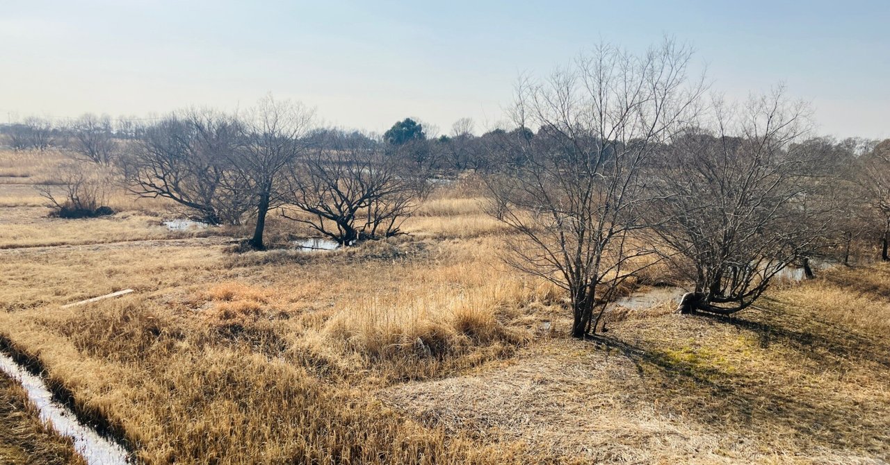 仏の笑顔でCQを叫ぶ鬼 #20230204｜SUUA-SAN