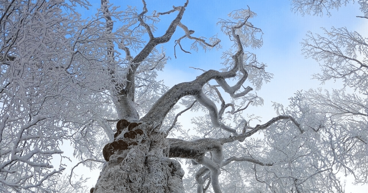 20230204｜Onsite｜note