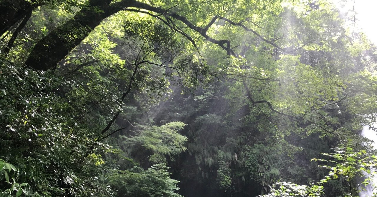 2023年立春｜Chie coco｜note