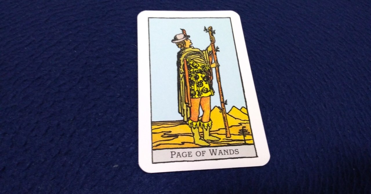 My Tarot Diary 🌴｜ミリーナマルモ｜note