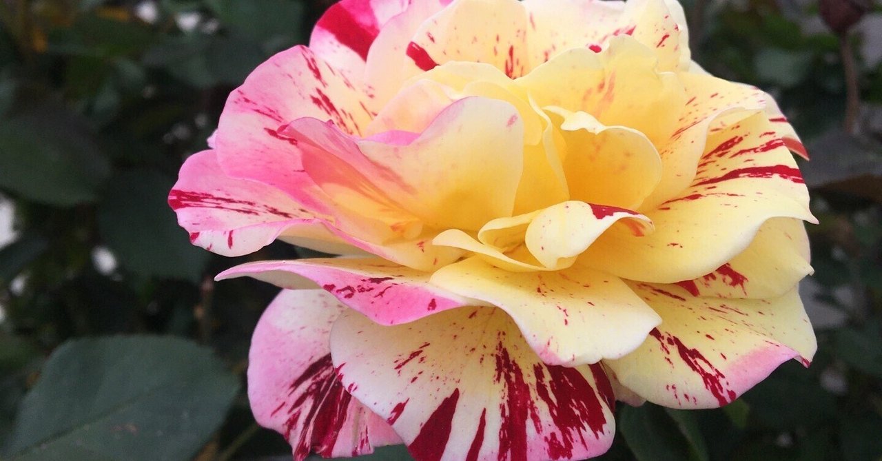 退院から3日目｜Katsu-Setsu｜note