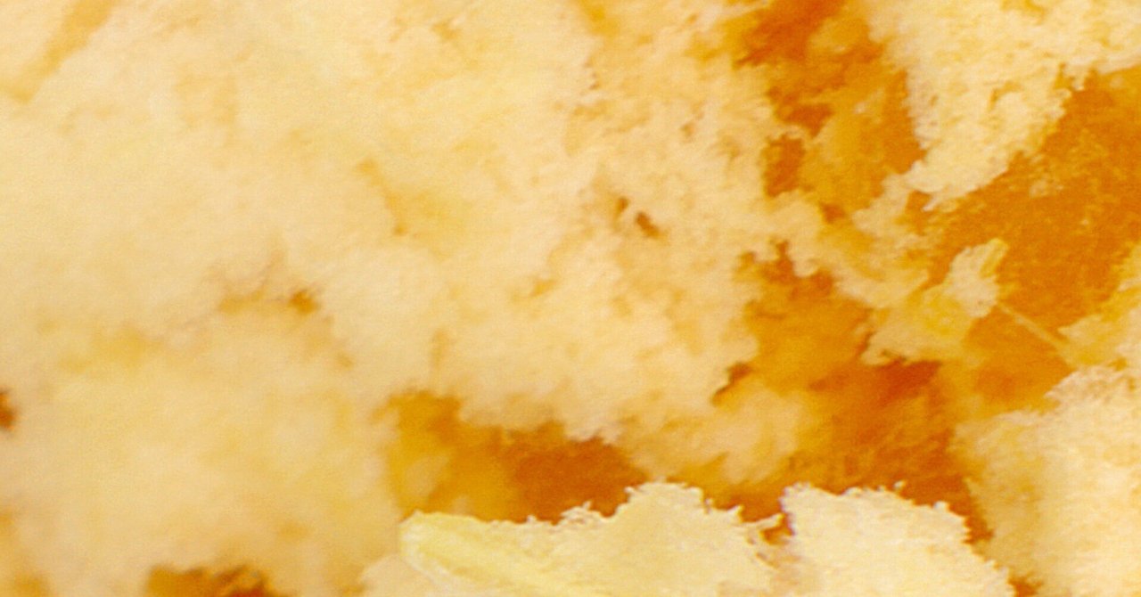 生活の観察-制作記録-32｜202号室 - TAMAOKI Jun｜note