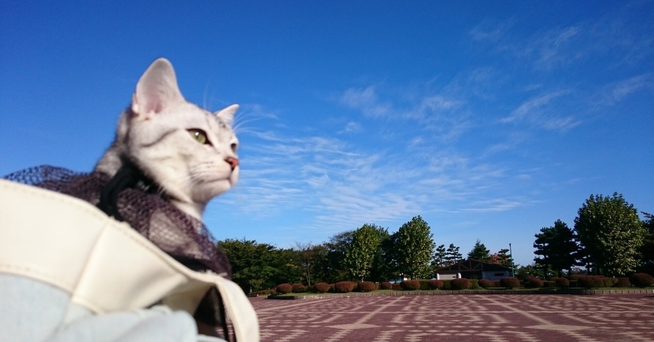 奇跡講座WB実践217 復習197｜(Linp&Ruru)本当の自分を知り、本当の自分として生きる｜note