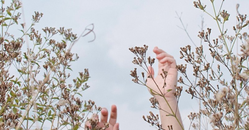 marimo's JOURNAL｜note