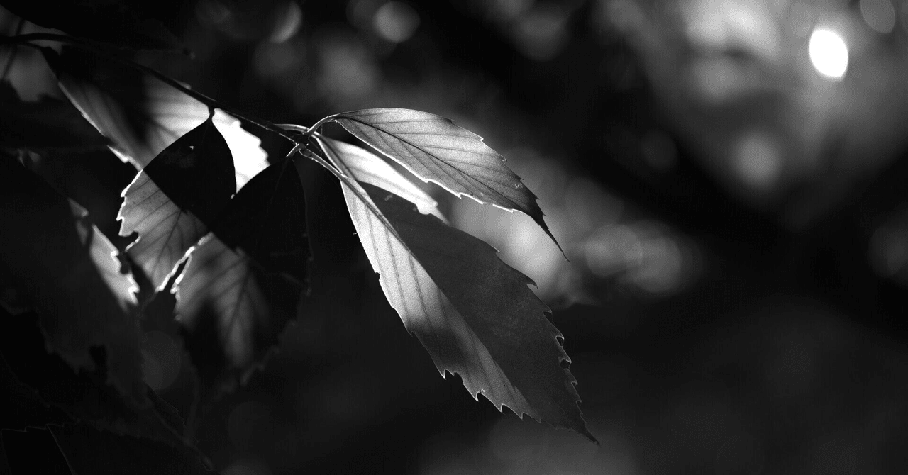 過去があるから小さな幸せを感じる｜rikua ️｜note