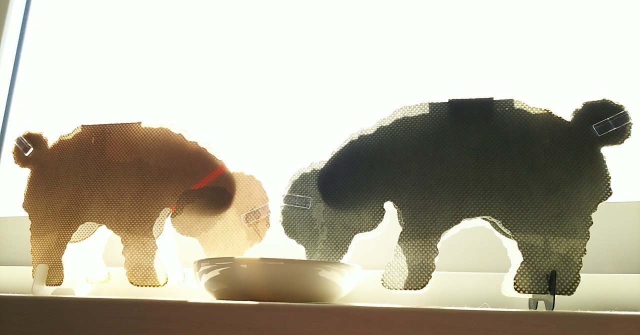 自分にとってのベストとは｜加戸 成樹 / Naruki Kato