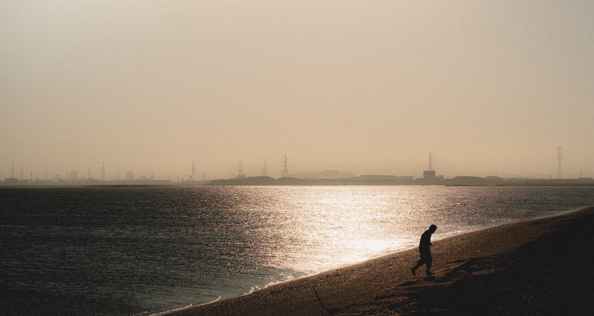 Seiji(dfg_mgk)｜note