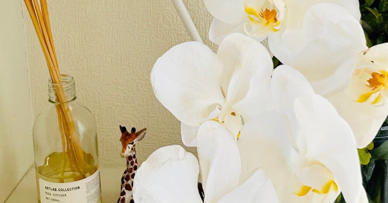 美しいものが朽ちて色褪せてゆくのも悪くない｜Mr.Shingoの『理不尽蛮人木っ端微塵』｜note