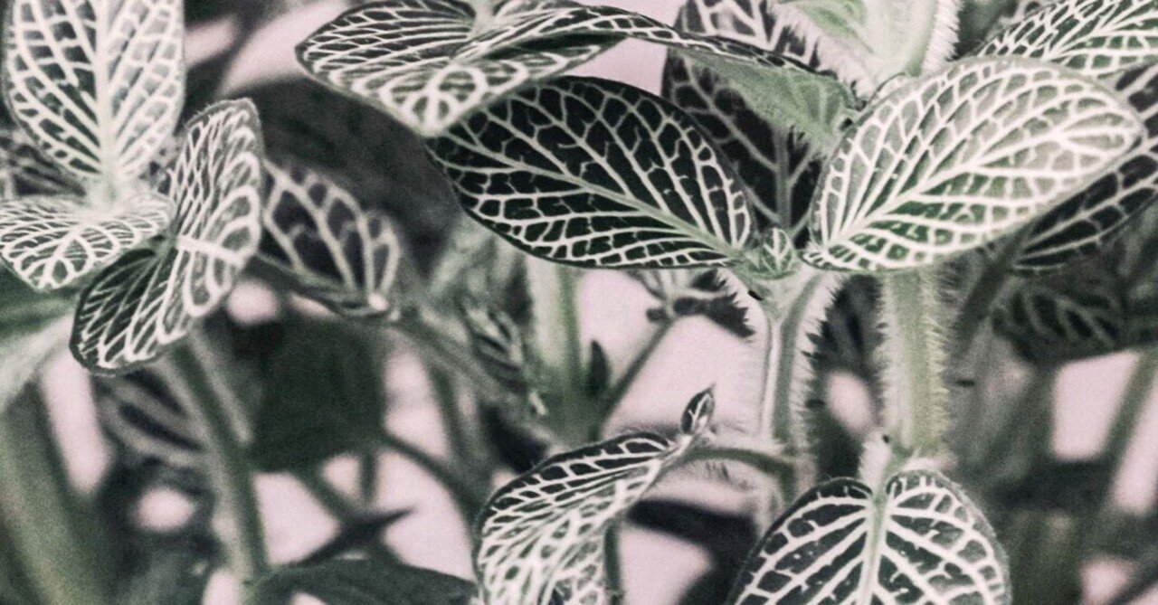 既婚者セレブ美人がマッチングアプリで100人に会った話㉟｜Risa