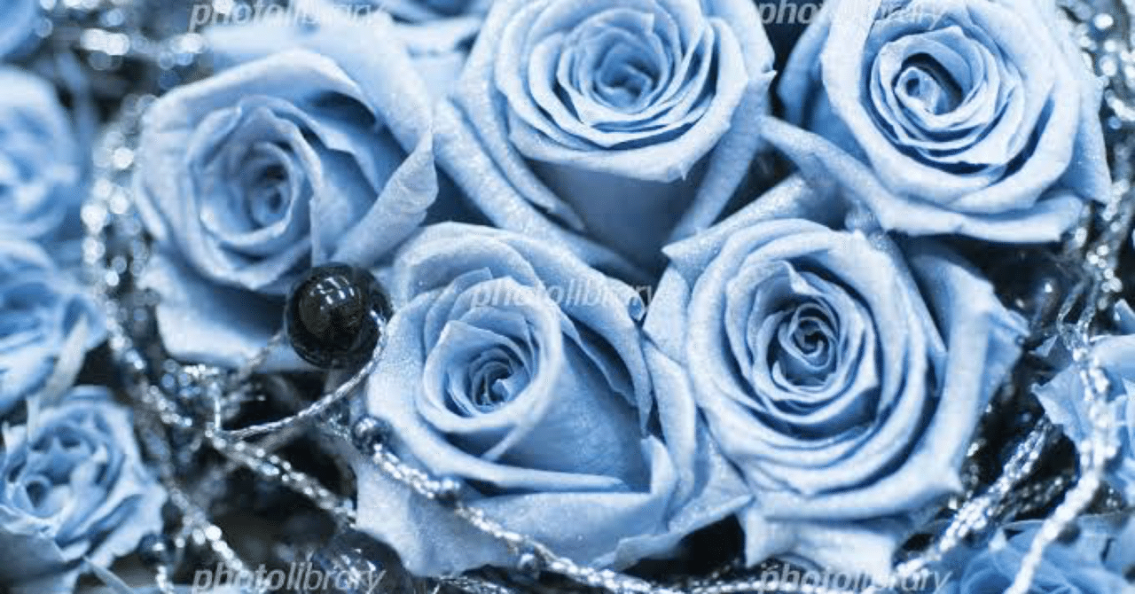 🍀競艇予想 ︎ プレミアム 2/7『蒲郡』10R 19:31｜キララ@船愛｜note