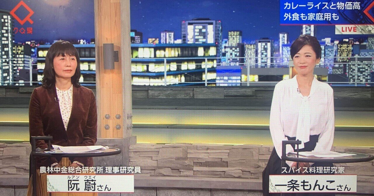 カレーから見る日本の厳しすぎる現状NHK『クローズアップ現代』より｜名古屋歴史観光