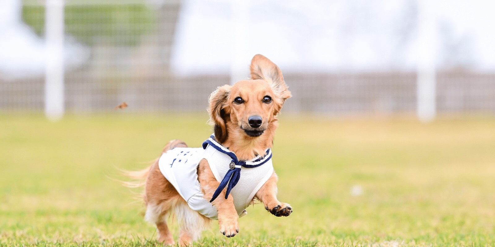 Daisuke Kobayashi｜note