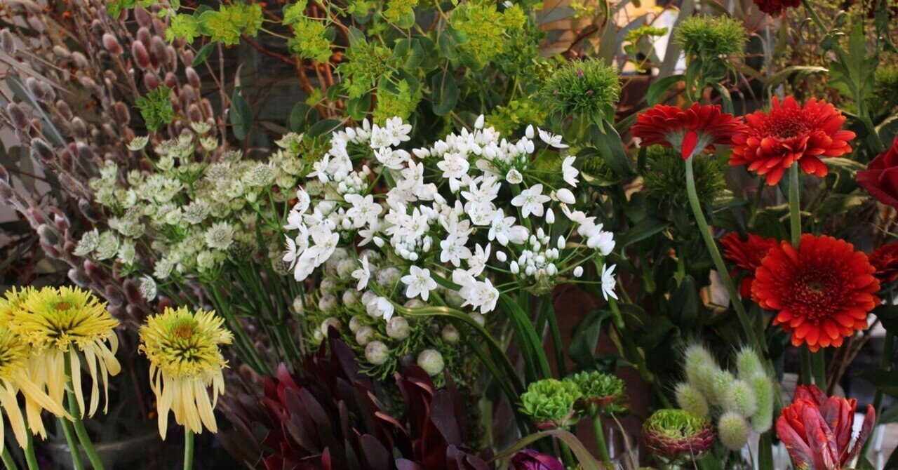 はながすきすぎる 2月の雪予報｜花屋KONOHA｜note