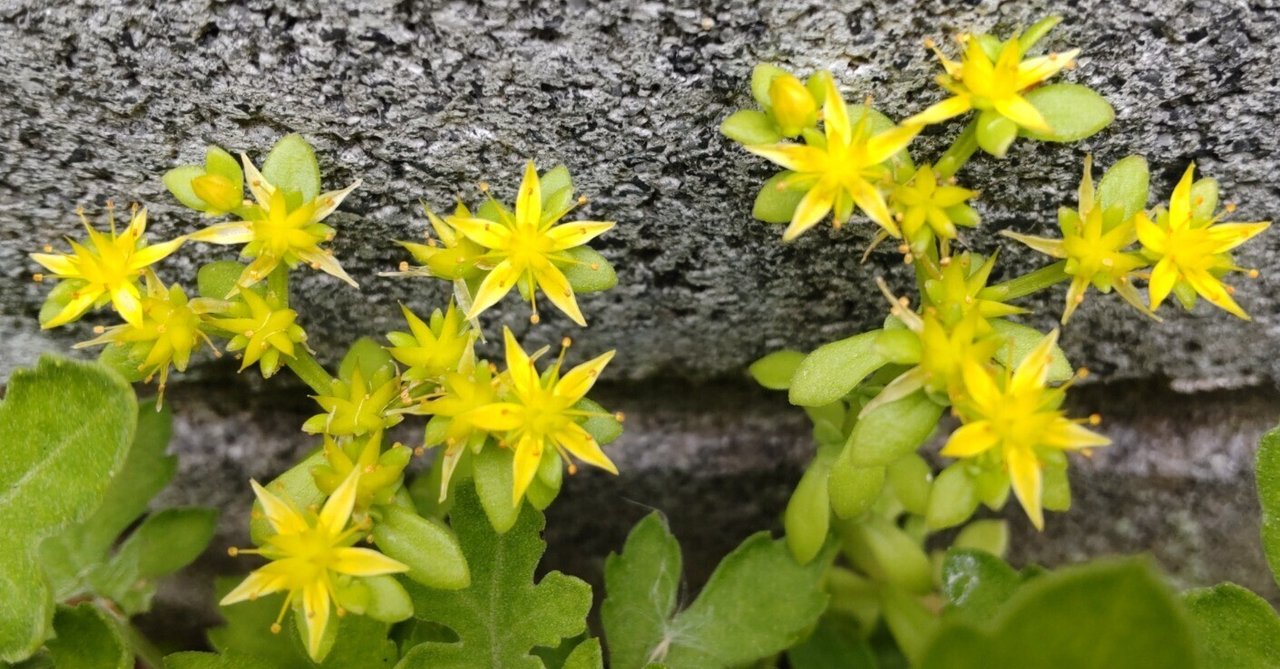 さりげない居場所《小説》12｜motoki_66｜note