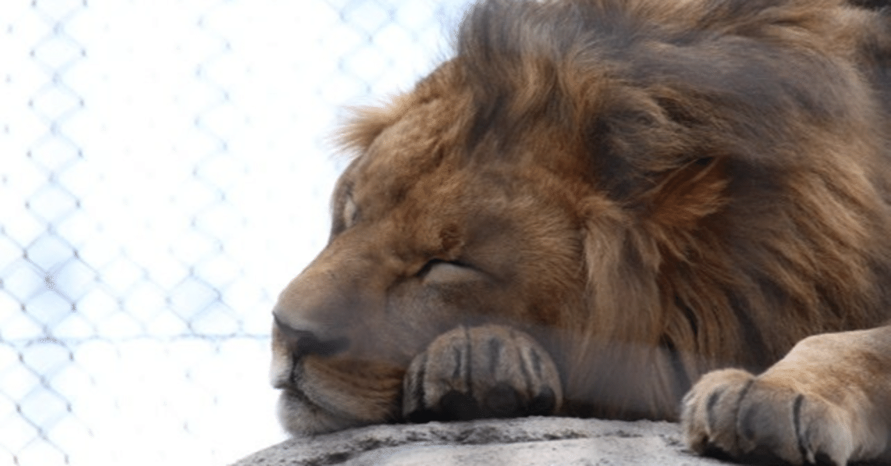 【星読み】フッ軽になった今日この頃｜Jun@SHElikes｜note