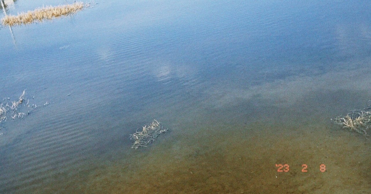 水鳥｜Kuronuma Kenichiro｜note