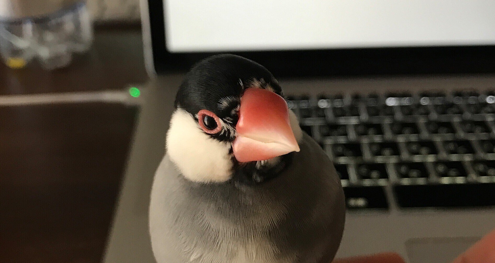 Takahiro Nakamori｜note