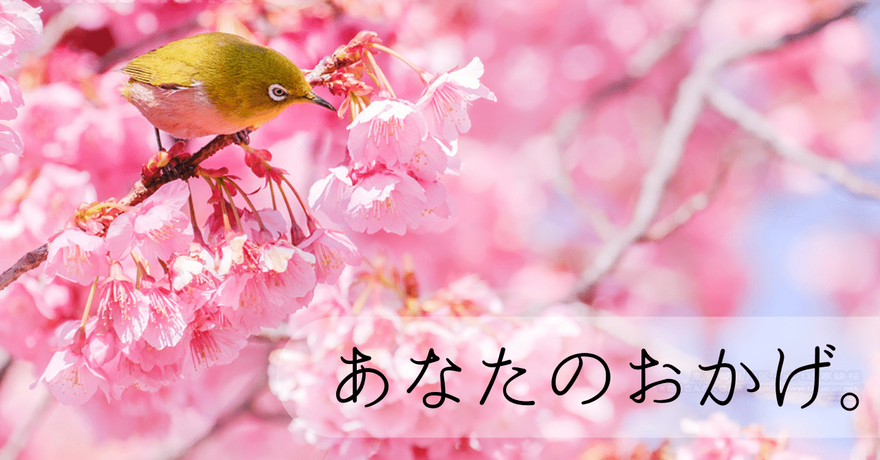 あなたのおかげ。｜靖(-sei-)｜note