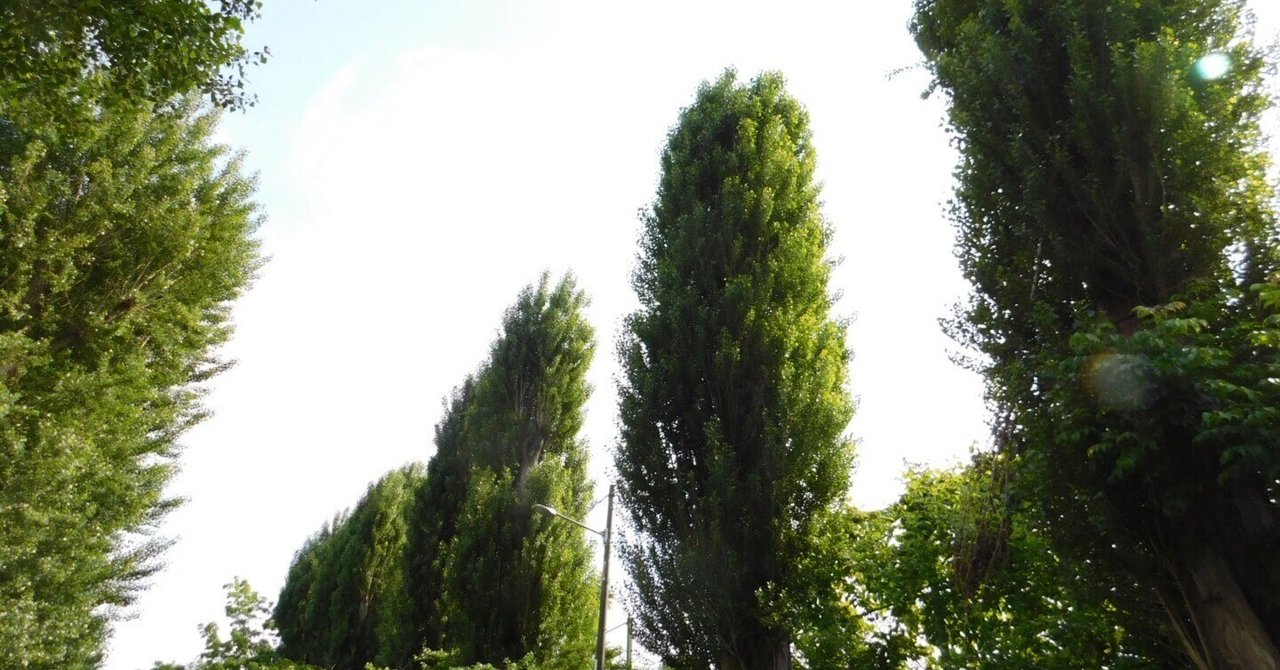 アバヨサイナラ｜Itsuki_Gabriel_Og