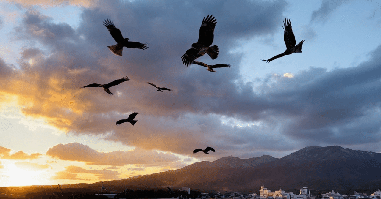 進化するために。｜I.Nanami｜note