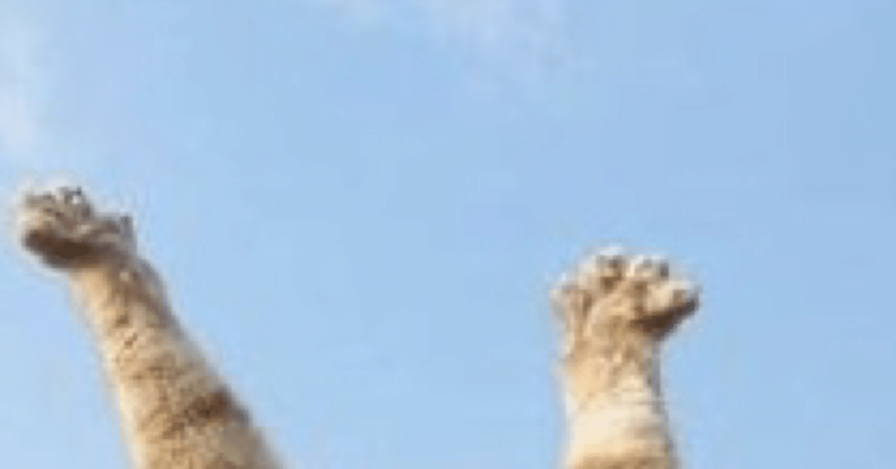 機序｜hakia｜note