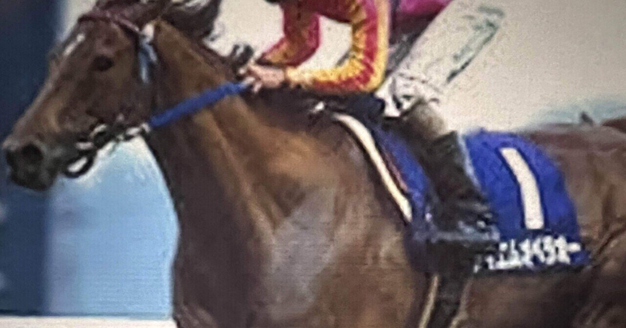 2/12(日)京都記念の枠が出る前に。｜suz_uka