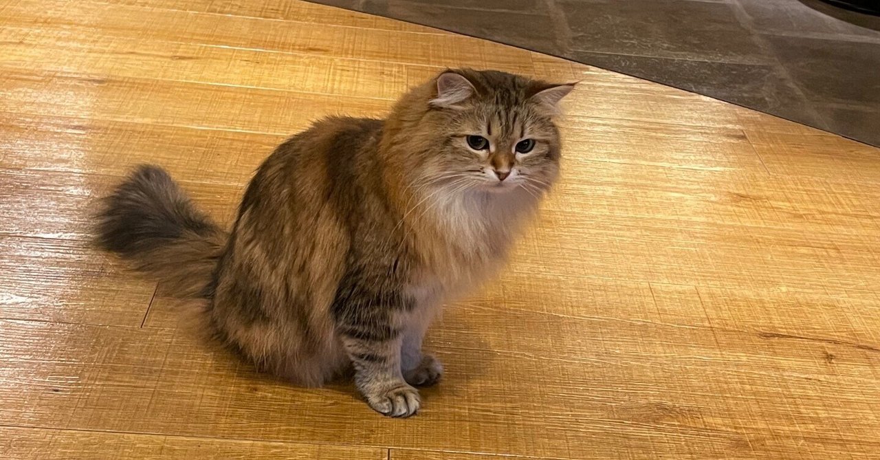 シンデレラボーイ｜tommy｜note