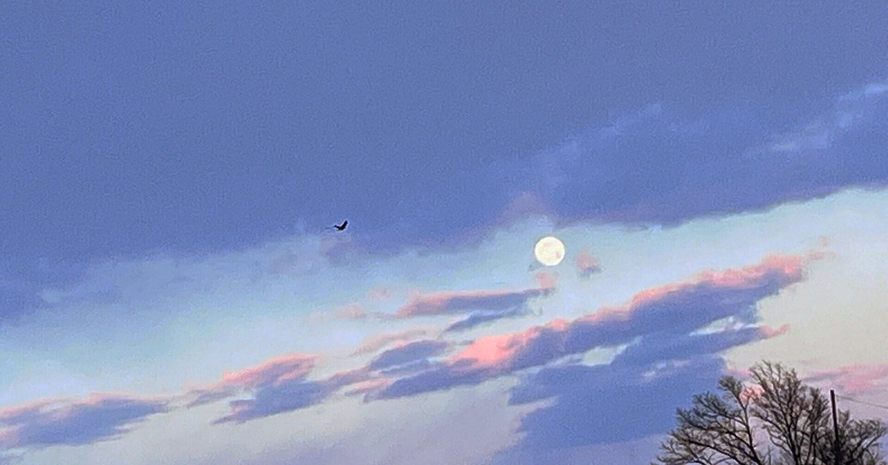 波動(・・?｜tumugu-jiku｜note