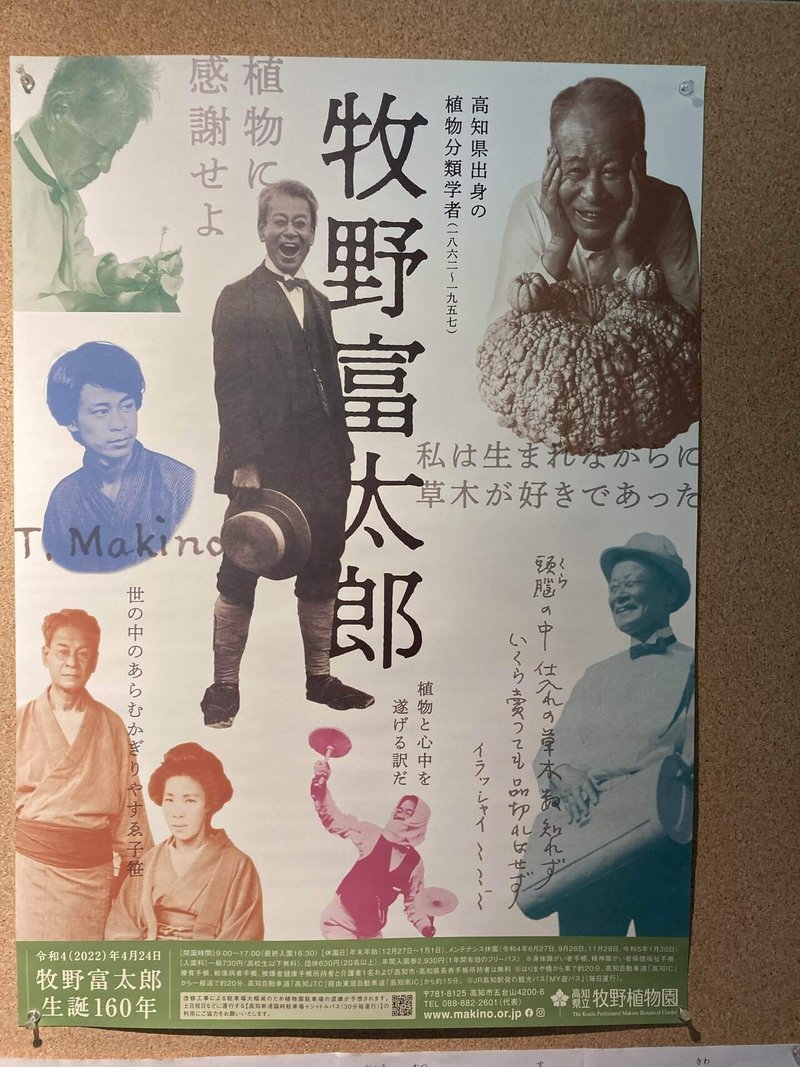 20230210・今日の高知｜猫足三粒@高知🎈