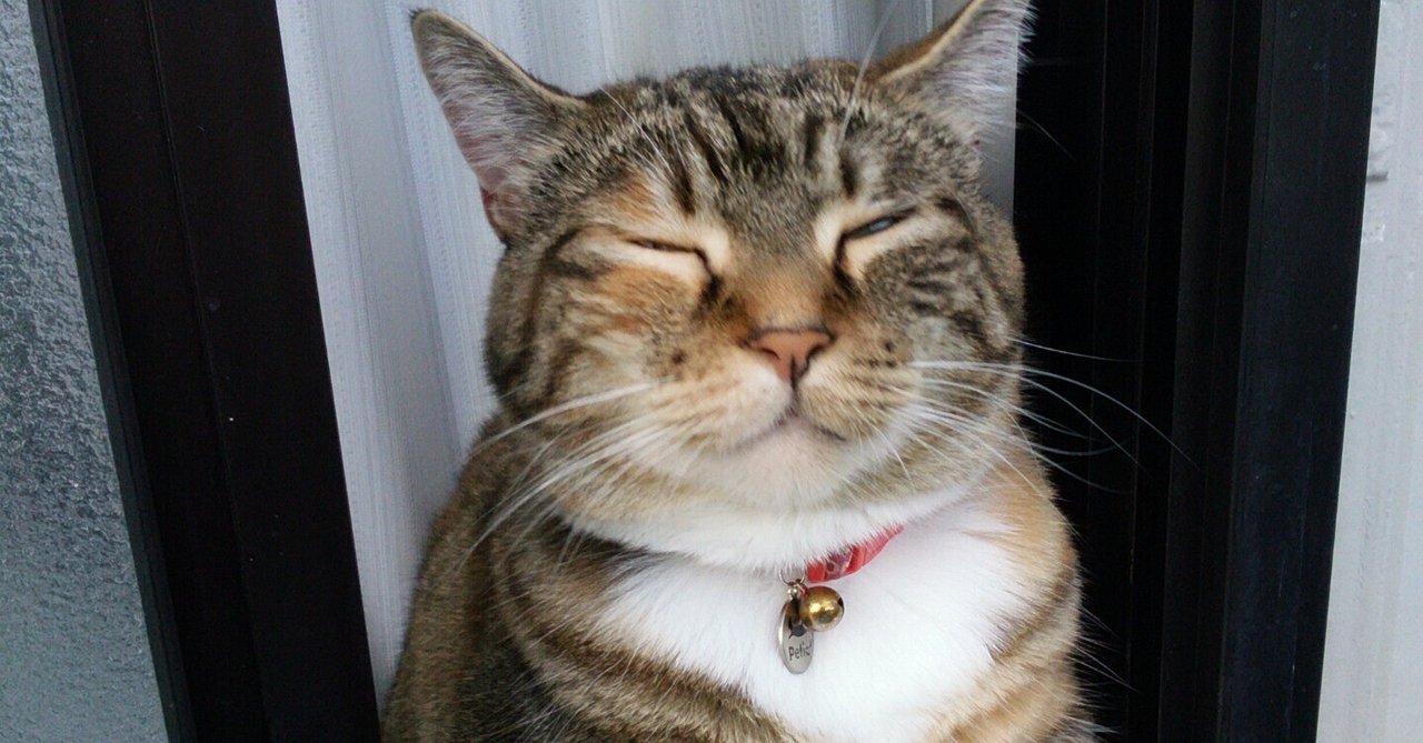 ひと休み～少し落ち込んでいます～｜SHURI_YOSHIDA