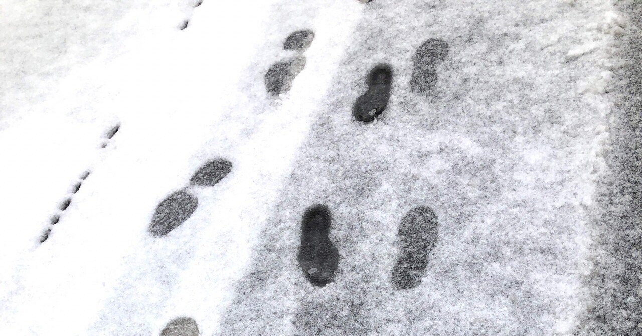 雪を想う｜yushi sato｜note