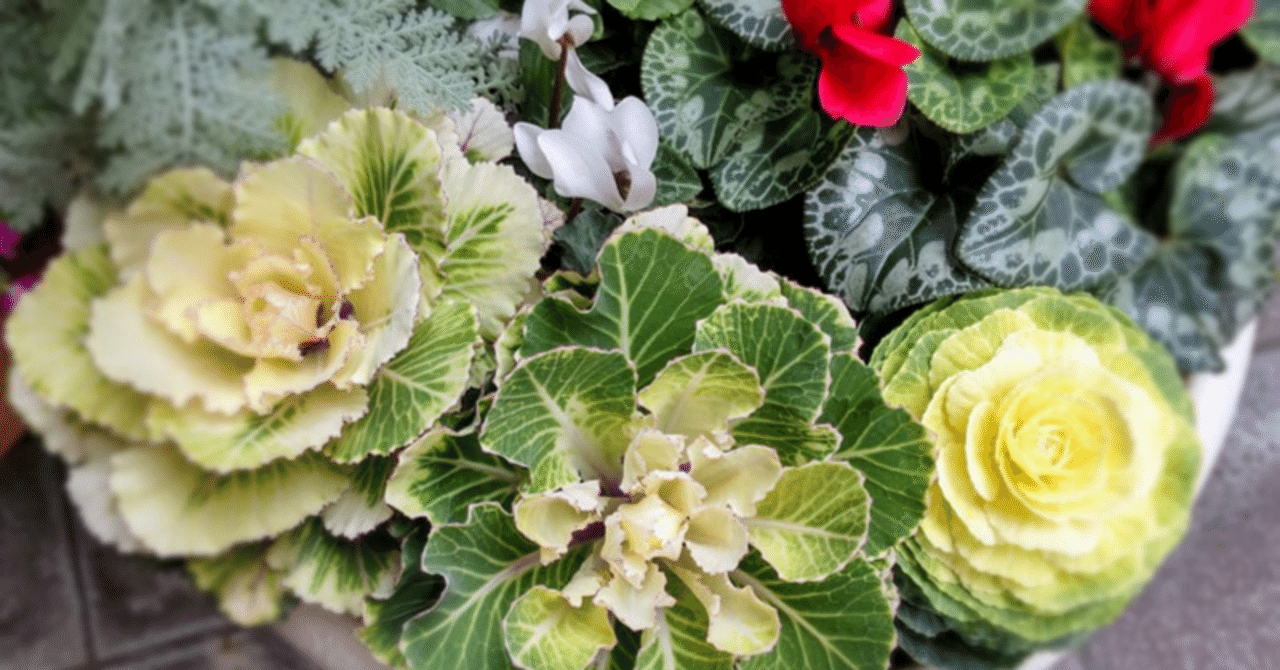 怒りと許し｜Masa｜note