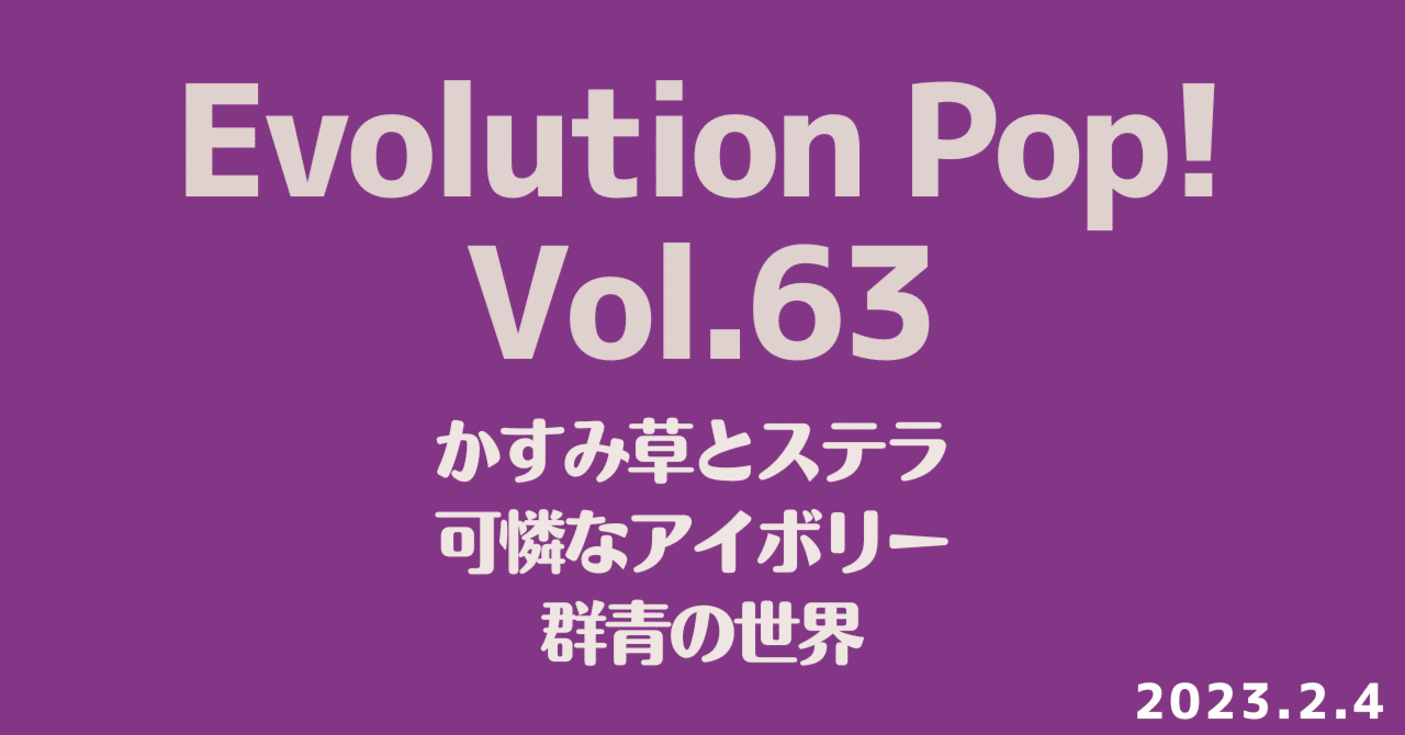 【ライブレポ】EVOLUTION POP! Vol.63｜かっつ｜note