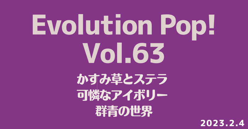 【ライブレポ】EVOLUTION POP! Vol.63｜かっつ｜note