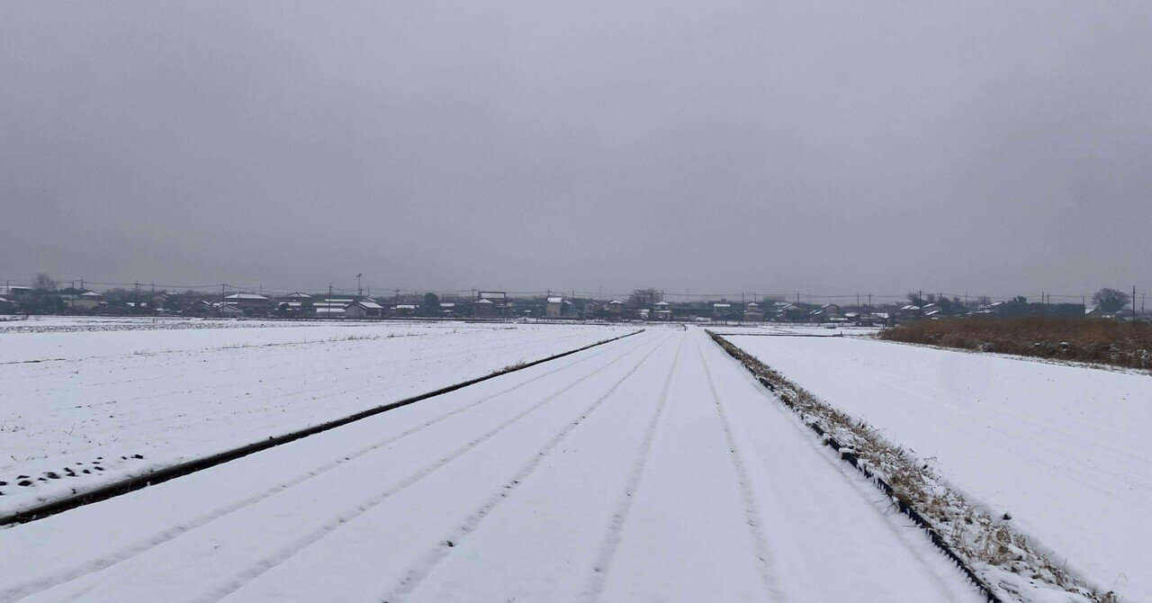 【日記】初雪と頭痛｜Kazunari Kon